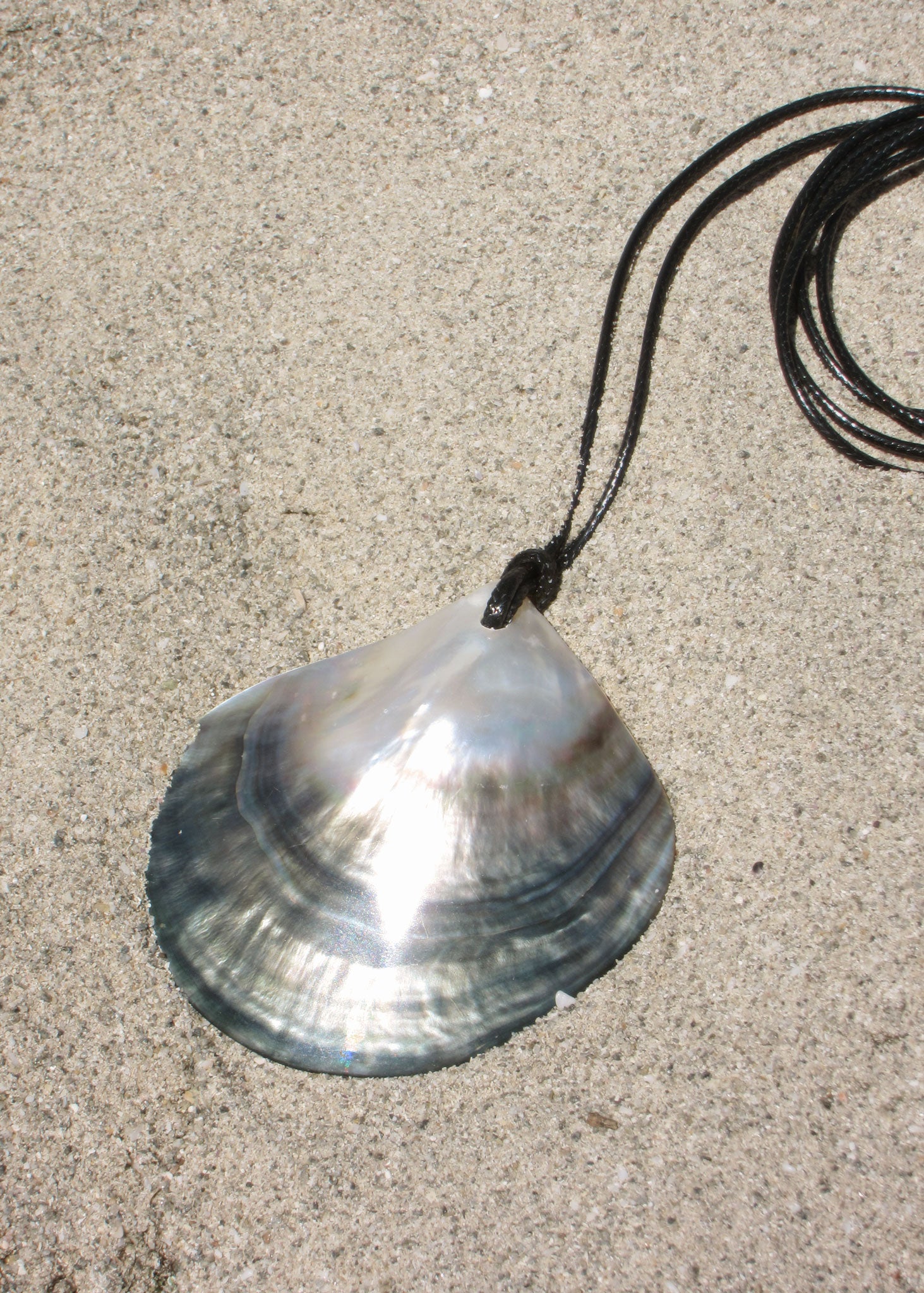 ECLIPSE SHELL – horse & berries