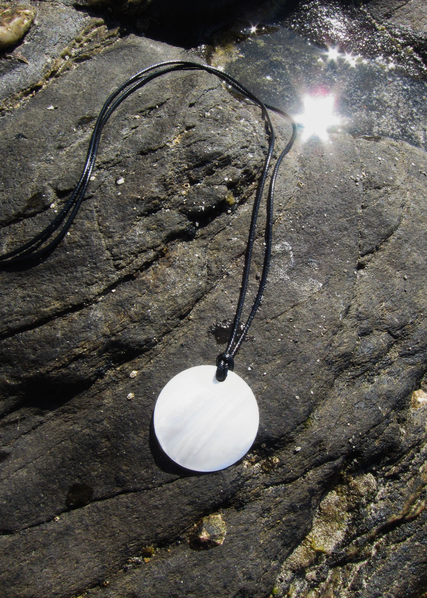 HALO DISC – horse & berries